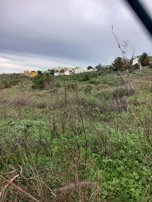 Terrain constructible secteur UB-07 à Arucas, Las Palmas de Gran ...